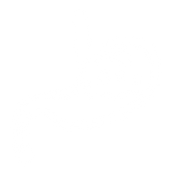 Digestzymes Plus - Ultimate Gut Support – PurgeStore